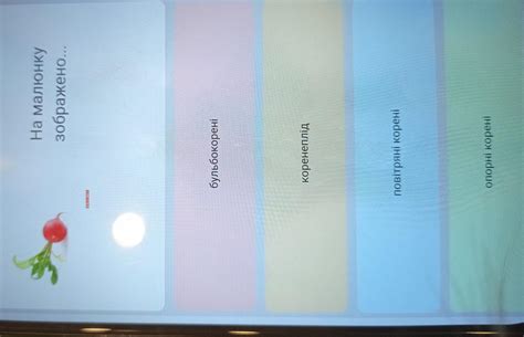 На малюнку зображено Школьные Знания Com