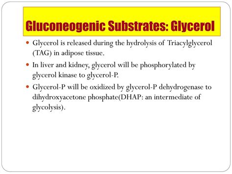 Ppt بسم الله الرحمن الرحيم Powerpoint Presentation Id3056722