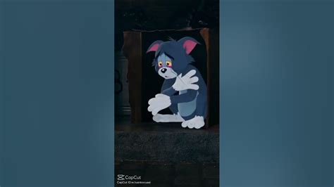 مين بيحب توم وجيري اكتب لي بالتعليقاتلايك اشتراك احبكم Youtube