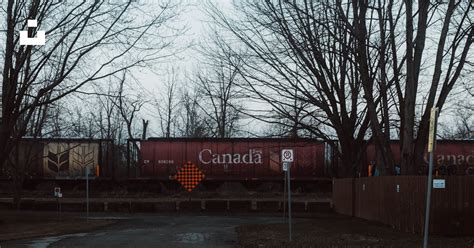 숲 옆의 기차 선로를 따라 내려가는 빨간 기차 사진 Unsplash의 무료 회색 이미지