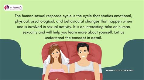 PPT The Phases Of Desire Understanding The Human Sexual Response Cycle Presentation PowerPoint