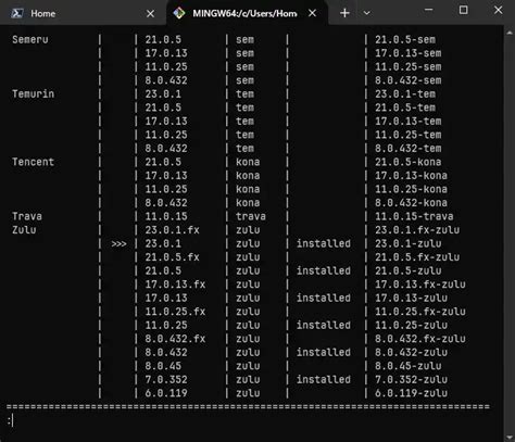 🎉instale multiplas versões java com sdkman no windows william silva