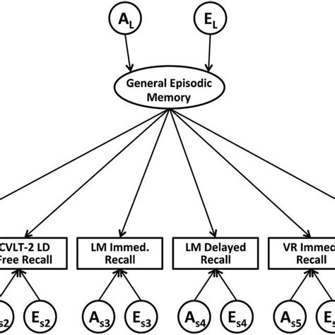 Single Factor Common Pathways Model Multivariate Biometrical Models Of Download Scientific