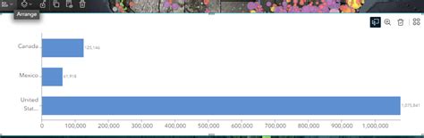 solved formatting labels of a bar chart within experience esri
