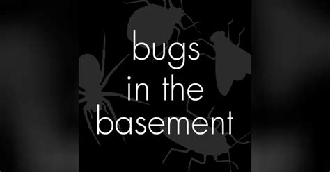 Perillus Bioculatus Aka The Two Spotted Stink Bug Bugs In The Basement