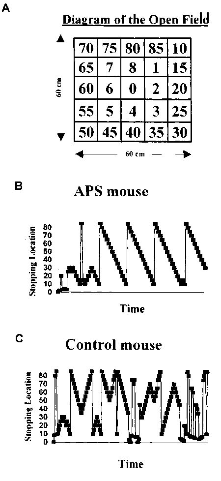 Spatial Locomotion Of Aps And Control Mice In The Open Field Is Download Scientific Diagram