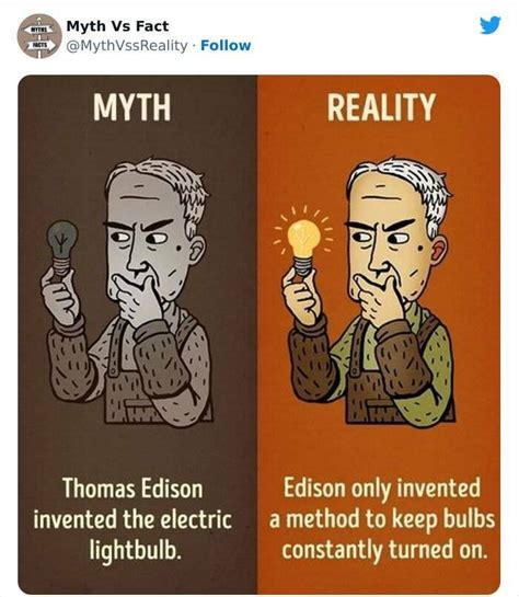 50 Awesome Myths Vs Reality Illustrations Barnorama