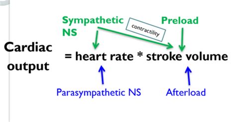 Heart Failure Patho Flashcards Quizlet