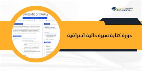 Cv Development Scholarship Consultancy Elearning Platform