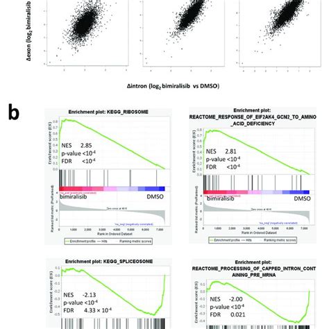 Post Transcriptional Regulation Of Transcripts Encoding For