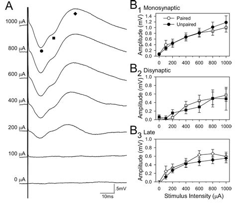 Figure 2 From Enhanced Synaptic Responses In The Piriform Cortex Associated With Sexual