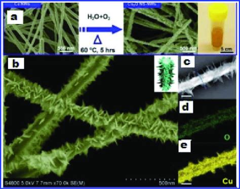 A Formation Of Hierarchical Branched Cu 2 O Nw Nanostructures The