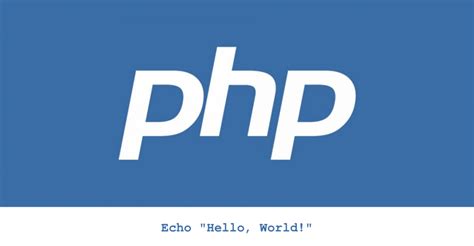 how to choose the best programming language for your startup intersog