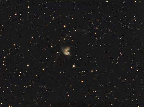 Antennae Galaxy C11 Hyperstar Photo Gallery Cloudy Nights