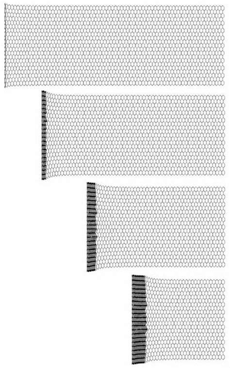 8 Type X Left And Type Y Right Honeycomb Response Ton 100 M S Impact Download Scientific