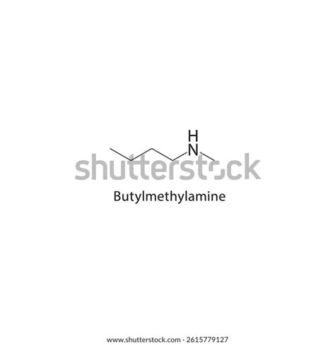 Butylmethylamine Skeletal Structure Amine Compound Schematic Stock Vector Royalty Free