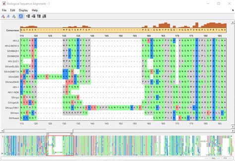 Pairwise Sequence Alignment