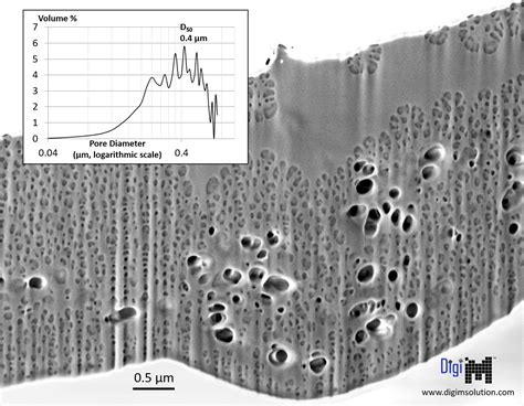 Controlled Release Microencapsulation Digim Solution
