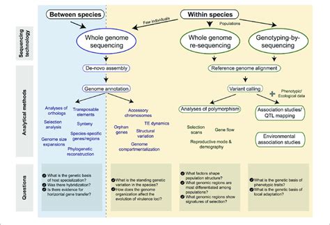 Diagram Of Tools Available For The Analysis Of Fungal Pathogen Download Scientific Diagram
