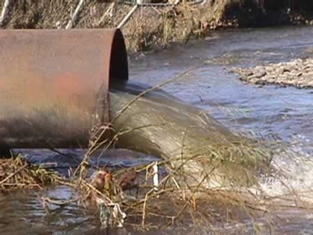 Ecologia Contaminacion Biologica Del Agua