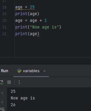 Understanding Variables In Python A Comprehensive Guide