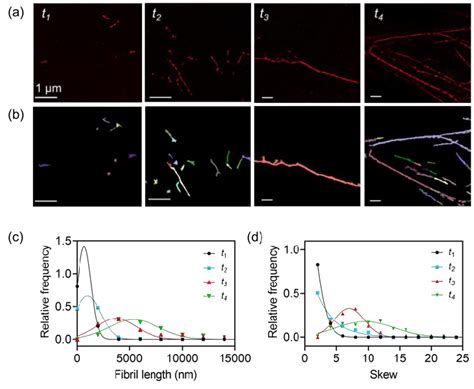 Super Resolution Imaging And Quantitative Analysis Of Morphologies Of Download Scientific