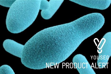 Clostridium Botulinum Multiplex Qpcr Kit Critical Pathogen Detection 🦠… Youseq