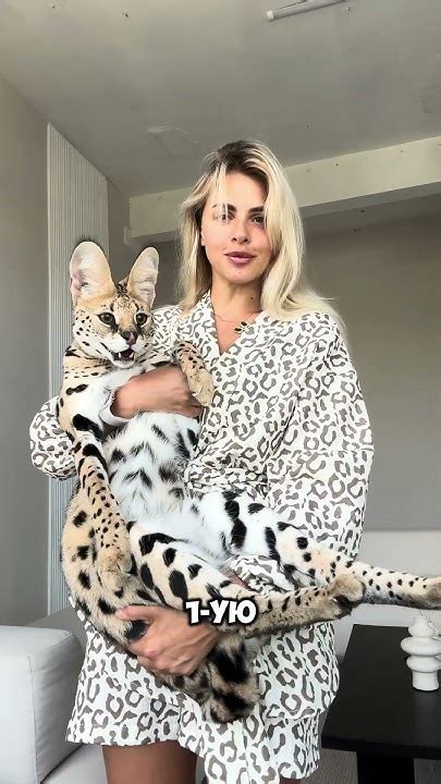 Как я строю бизнес без денег😱 немного разбавлю котеринский контент оч волнуюсь Вам интересно