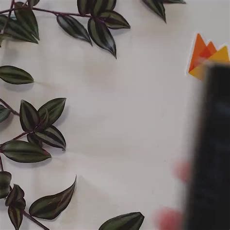 Video What The Flutter On Linkedin Flutter 12 Comments