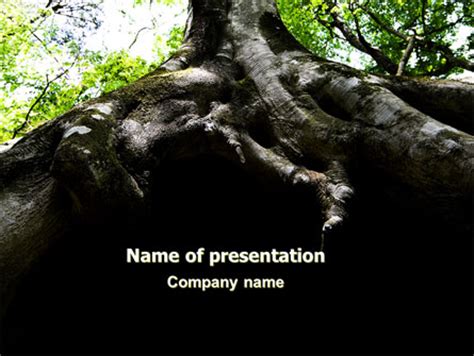 Tree Root Presentation Template For PowerPoint Google Slides And Keynote PPT Star