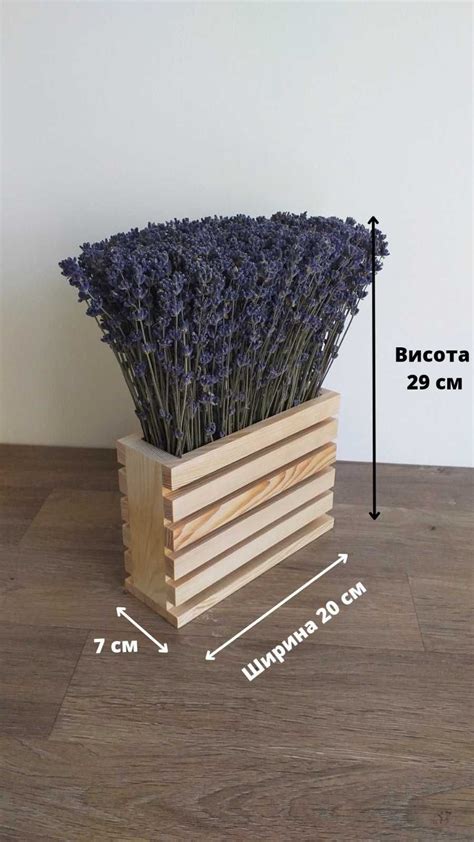 Кашпо з лавандою Лаванда букет 90 грн Інші товари для дому