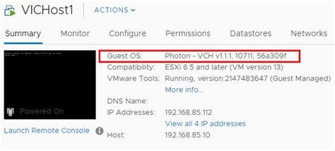 Configuring VMware VSphere Integrated Containers Virtualization Howto