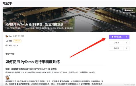 如何使用 pytorch 进行半精度训练 csdn博客