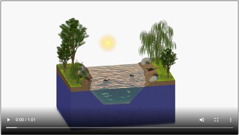 Rivers Streams And Estuaries Groundwater Resource Hub