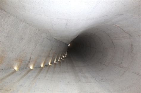 Premium Photo View Of Shell Structure
