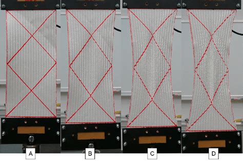 Sequence Of Stages During The Bias Extension Test Download Scientific Diagram