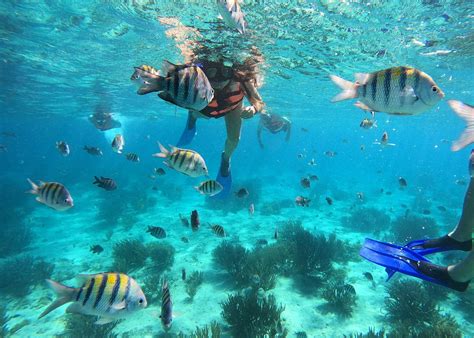 Book Isla Mujeres Musa And 3 Reefs Snorkeling Small Group Experience