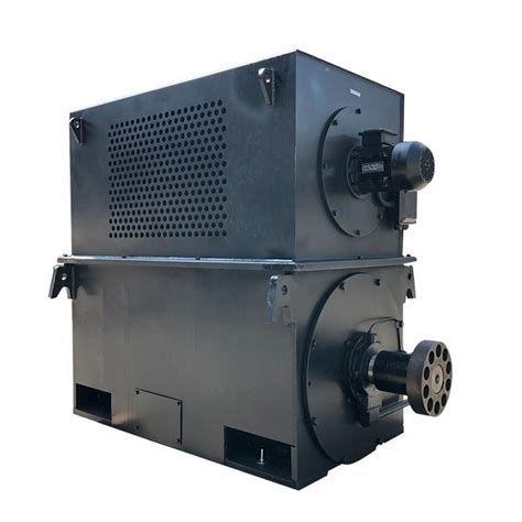 High Voltage Totally Enclosed Three Phase Asynchronous Ac Induction Electrical Motor High