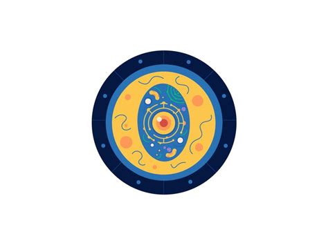 Eukaryotic Cell Diagram