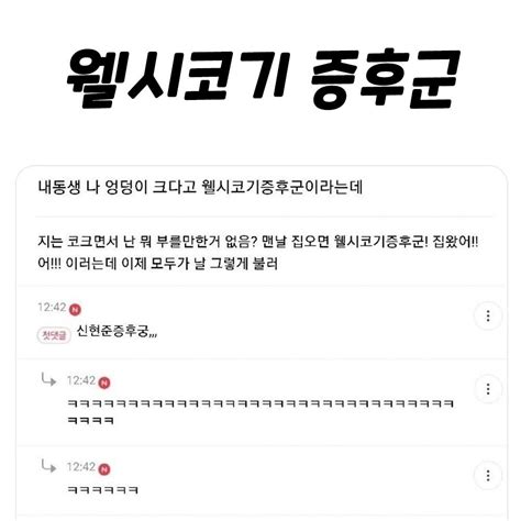 웃긴거 좋아하는 곰돌이 신현준 증후군ㅋㅋㅋㅋㅋㅋㅋㅋㅋ 웰시코기 엉덩이 신현준 유머 웃긴짤 유머짤 Instagram