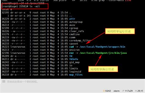 Linux 使用kill杀不掉进程解决方案 shuai babe 博客园