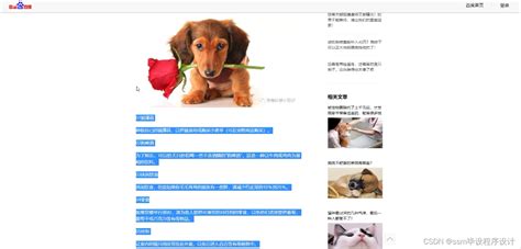 node js毕业设计宠物领养网站 express csdn博客