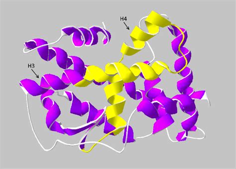 Crystal Structure Of Nurr1 Helix 1 Dna Binding Domain Not Pictured