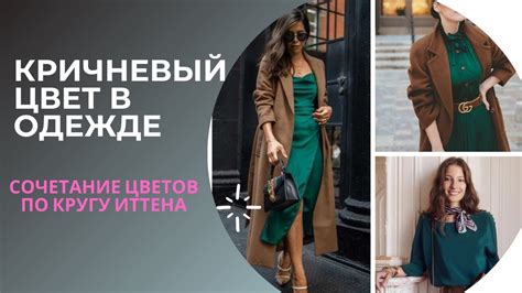 С КАКИМИ ЦВЕТАМИ СОЧЕТАЕТСЯ КОРИЧНЕВЫЙ СОЧЕТАНИЕ ЦВЕТОВ В ОДЕЖДЕ