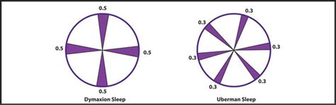 Sleep Cycle Biphasic And Polyphasic Sleep Polysleep