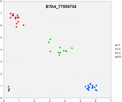 kasp snp genotyping assay of bta4 77555734 locus showing the data for