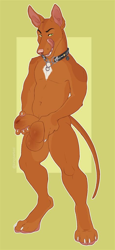 Rule 34 2022 Absurd Res Animal Genitalia Anthro Balls Biped Brown Rule 34 2022 Absurd Res Animal Genitalia Anthro Balls Biped Brown