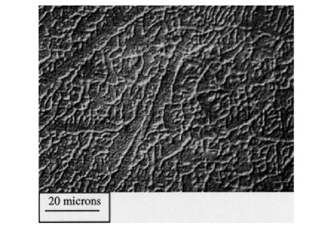 Large Dendrite Microstructure Power 1200 W Velocity 8 5 Mm S