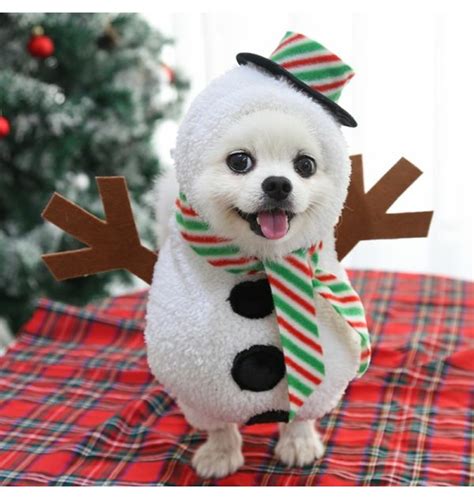 강아지 코스튬 크리스마스옷 강아지옷 할로윈 눈사람 산타 코스프레 눈사람옷 티몬