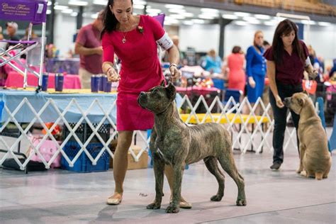 Gallery Cassandra Carpenter